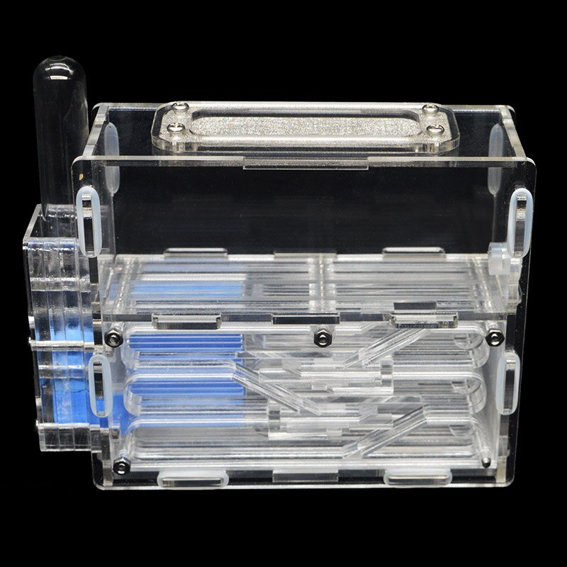 DIY Acrylic Ant Farm Underground Ant Nest Ant Hous... – Grandado