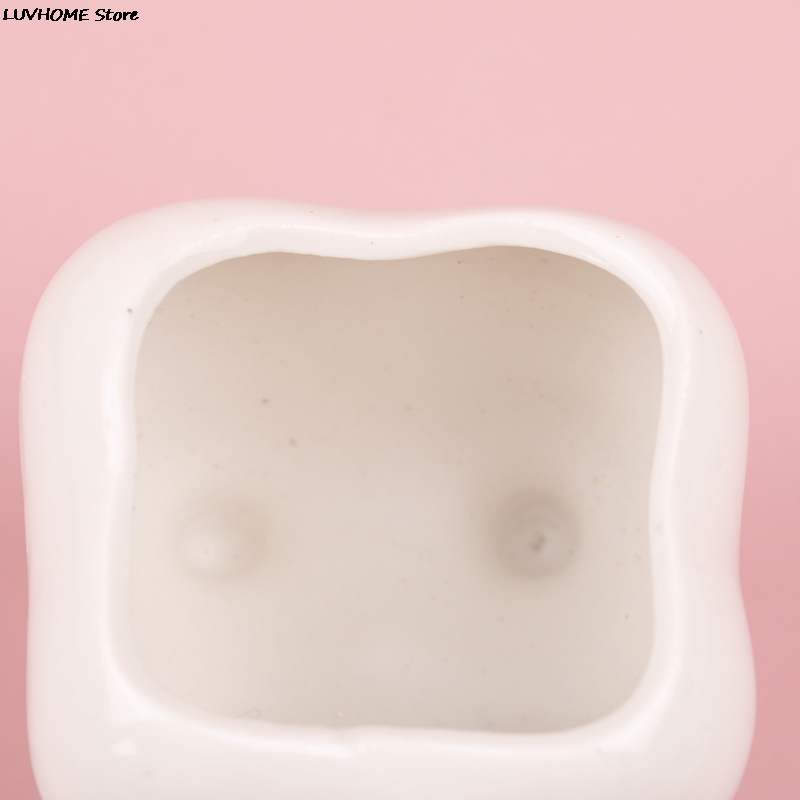 1Pc Bonsai Ceramic Flower Pot DIY Small Planter Su... – Grandado