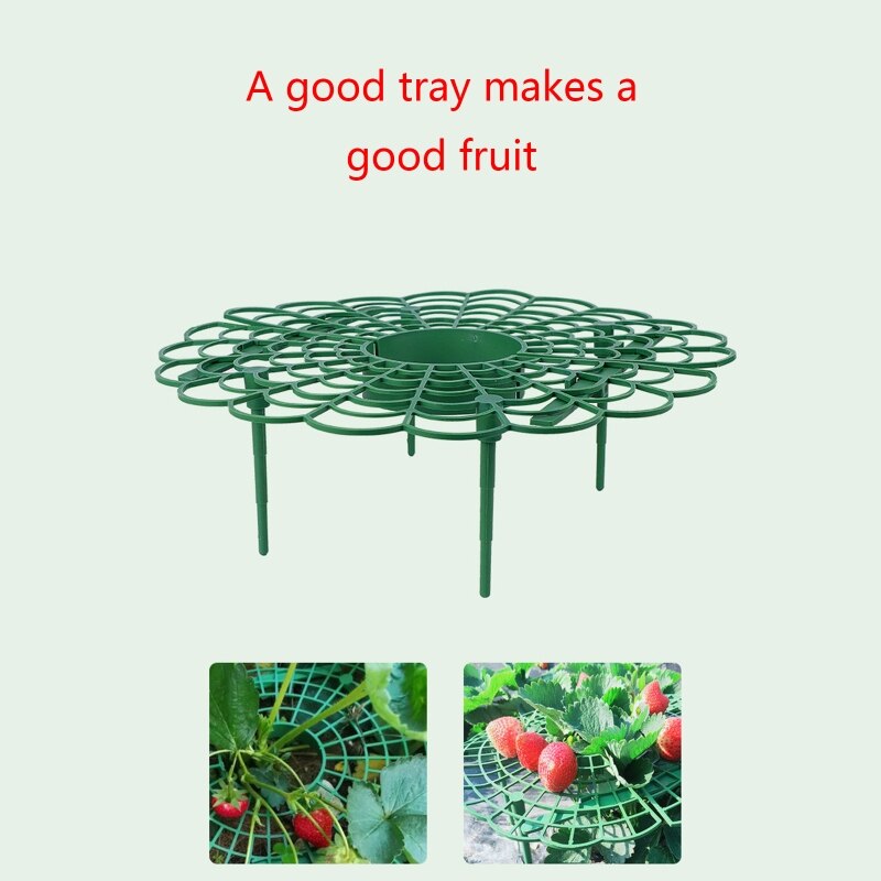 Strawberry Stand Frame Garden Fruit Plant Cage Cra... – Grandado