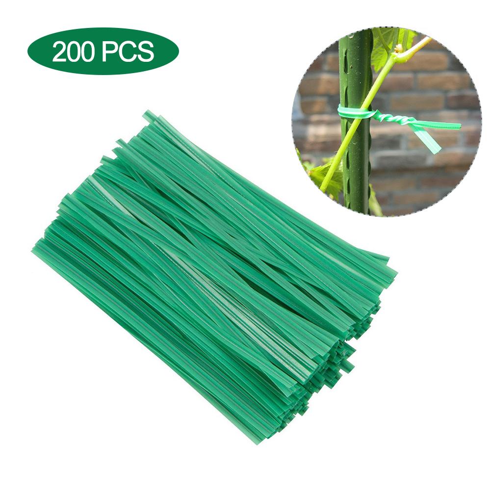 200Pcs Plastic Green Grape Rattan Gardening Vine C... – Grandado