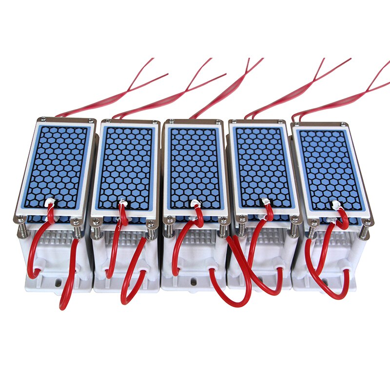 Ozon Generator 220v 10g Ionisator Hause Ozonizador... – Vicedeal