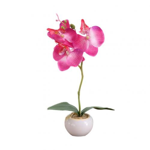 1pc potteplastik sommerfugl orkide vaser til innre... – Grandado