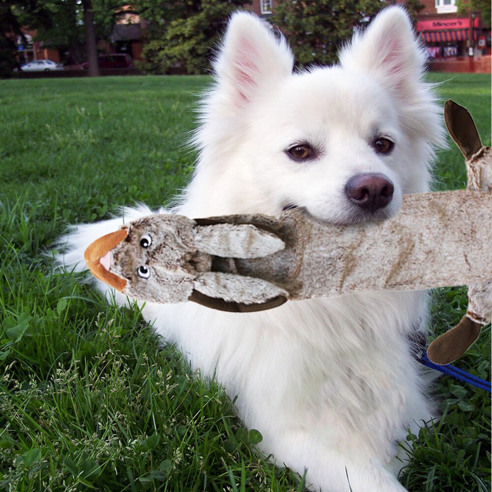 Dog Chew Squeaky Whistling Squeak Pet Wolf Rabbit ... – Grandado