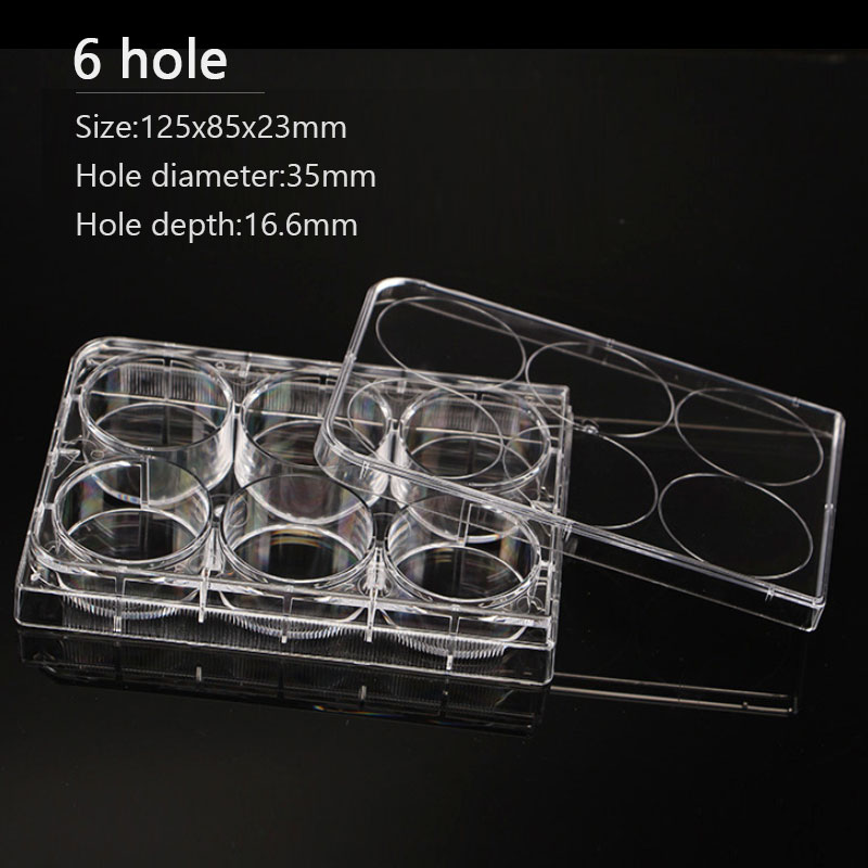 10pcs 6/12/24/48/96 hole Disposable Cell Culture P... – Grandado