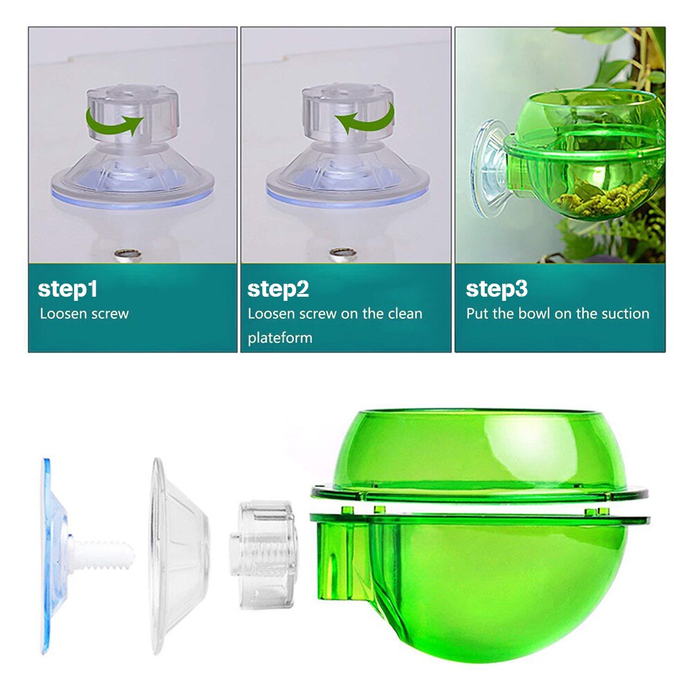 Reptile Feeder Water Dish Gecko Ledge Suction Cup ... – Grandado