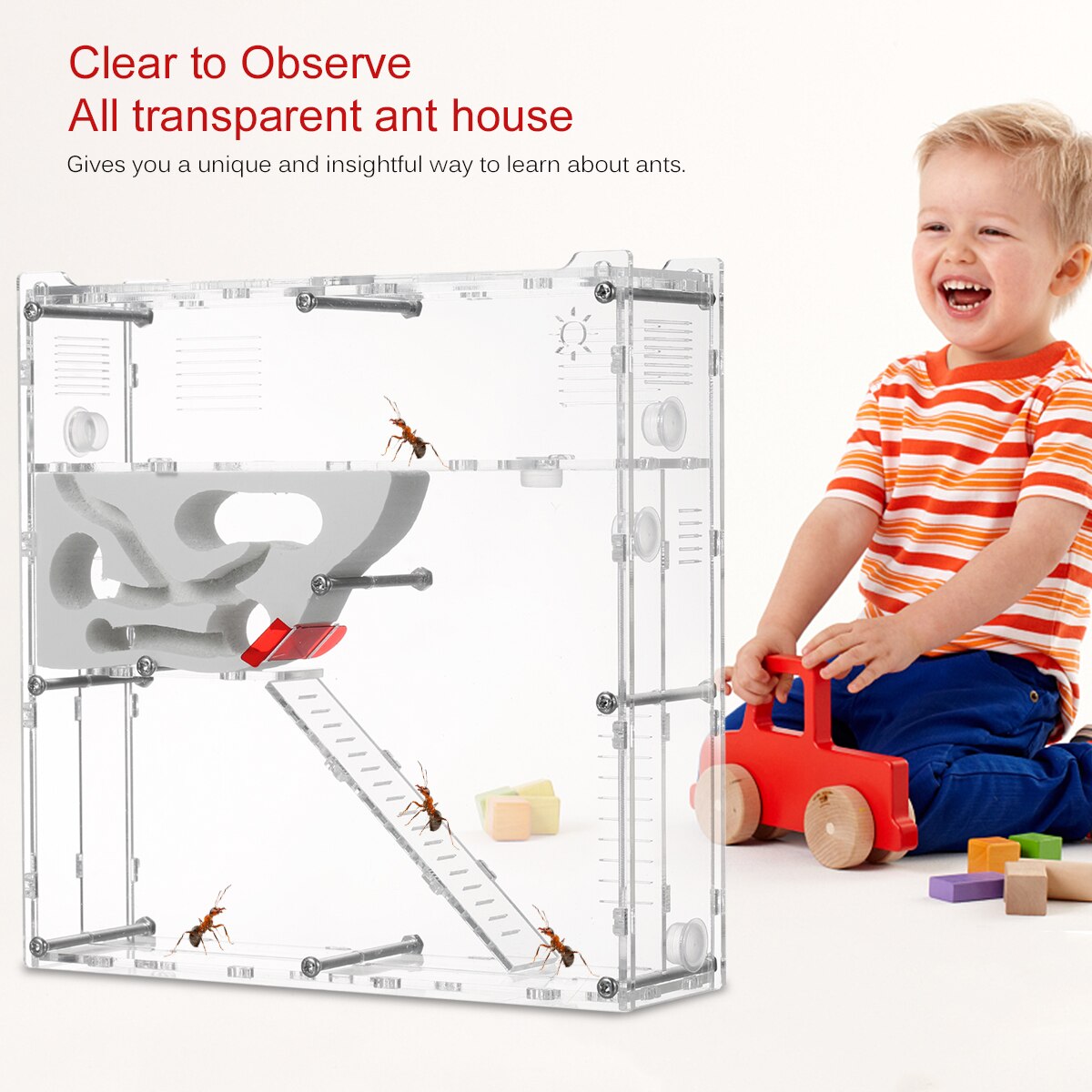 Ant Farm Starter Kit Ant Habitat Science Kit STEM ... – Grandado