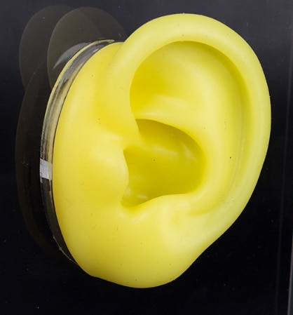 Silicone ear model soft ear model human ear model ... – Grandado