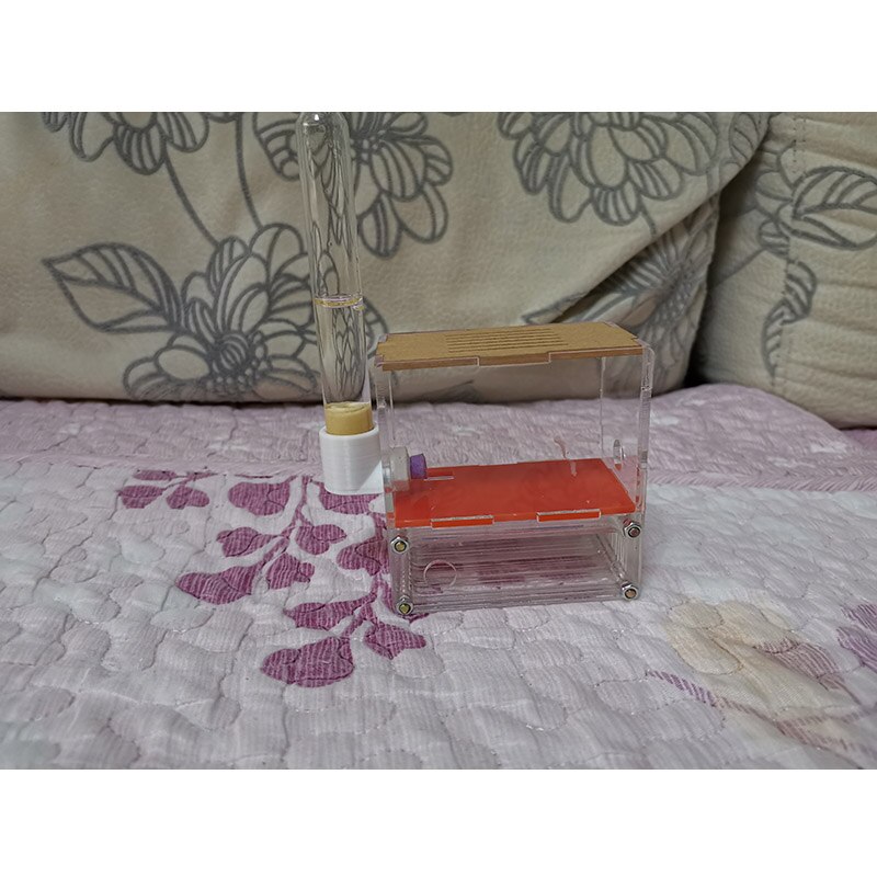 Red Plane Ant Nest Acrylic Ant Farm Transparent Ac... – Grandado