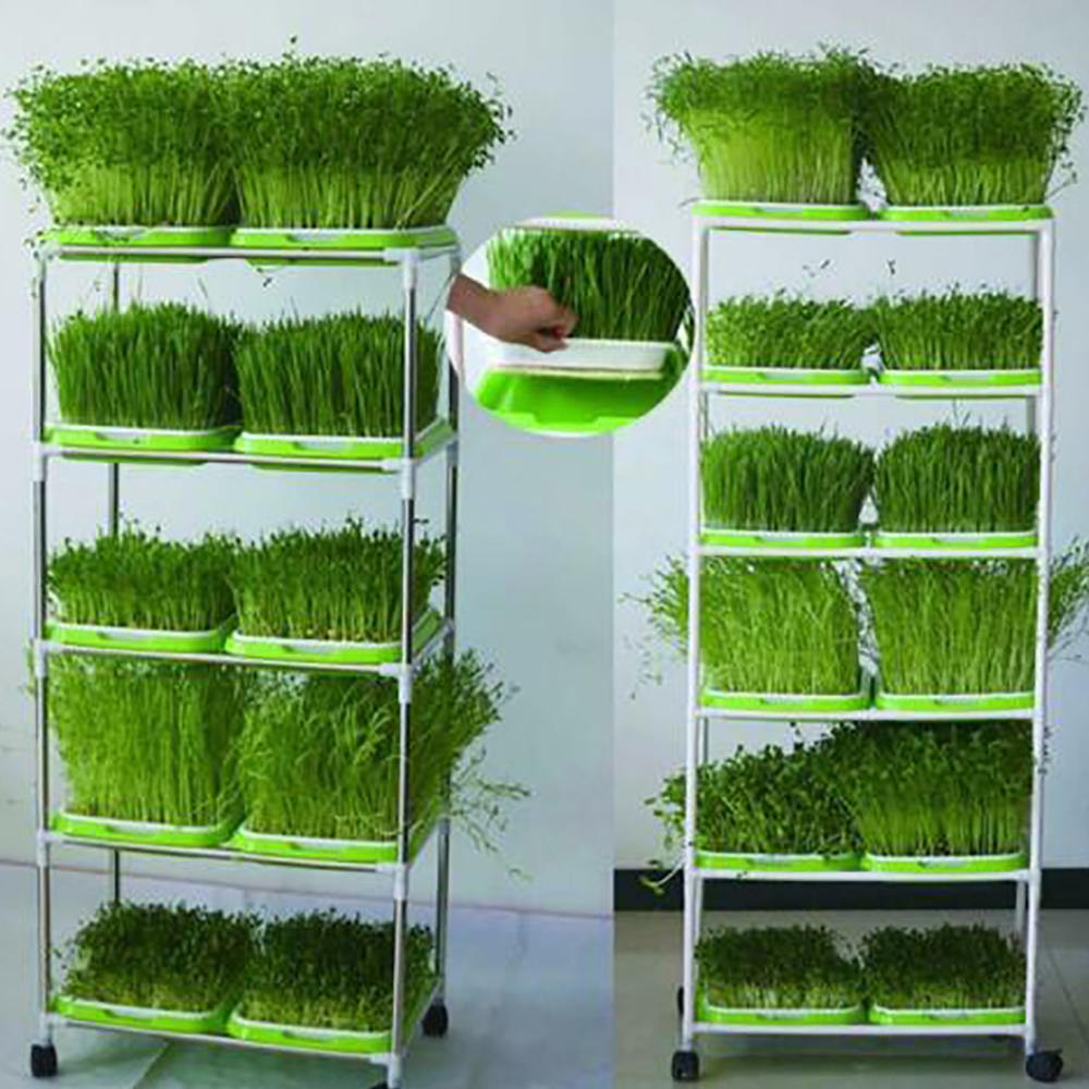 Hydrocultuur Kwekerij Lade Double-Layer Planten Sp... – Grandado