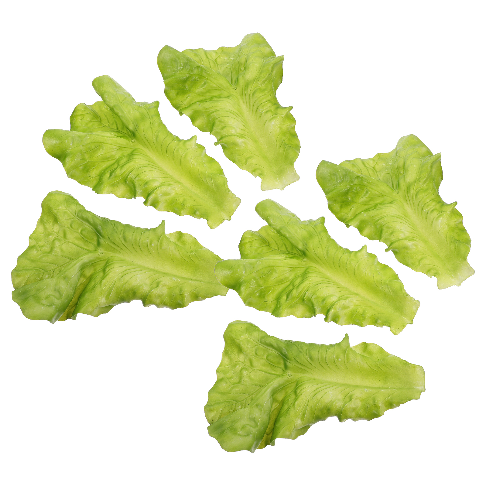 6pcs Emulation Lettuce Leaves Models Simulation Ve... – Grandado