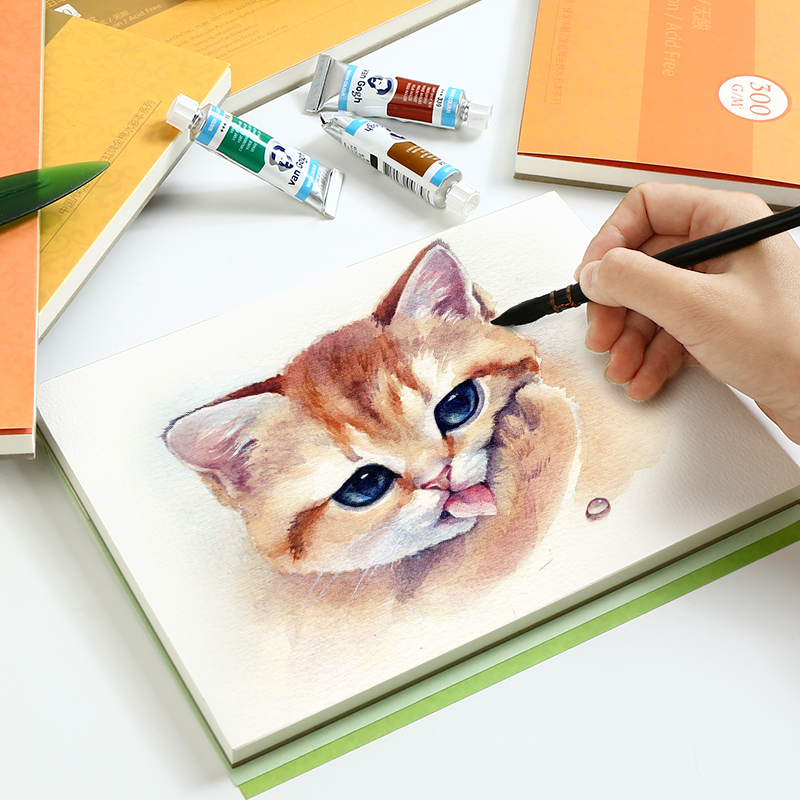 300g/m2 Watercolor Paper 20Sheets 100% Cotton Hand... – Vicedeal