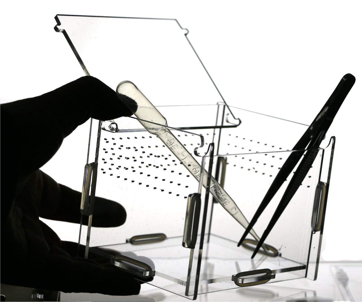 Terrarier mini vivarium krystal habitat gør det se... – Grandado