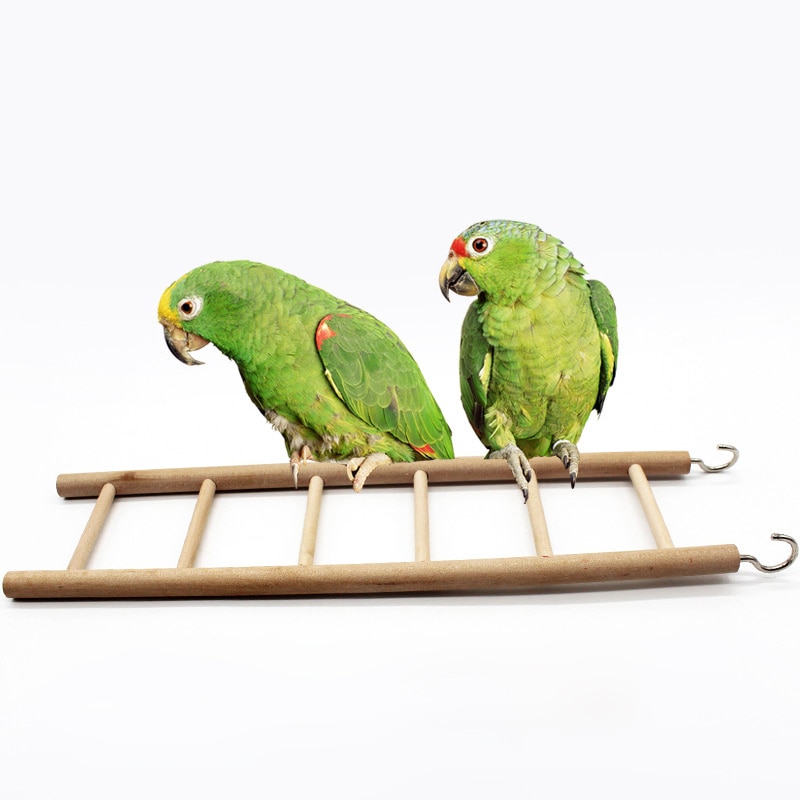 Parrot Toy Pet Supplies Bird Cage 1Pcs Climbing Stairs Rocking ...