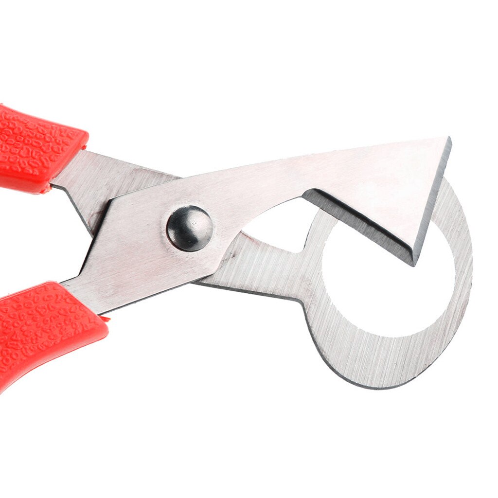 Duif Kwarteleitje Schaar Vogel Cutter Opener Keuken Tool Clipper ...