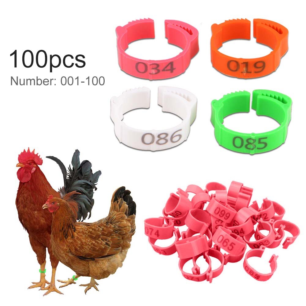 Reusable Adjustable Poultry Foot Ring Marking Ring... – Vicedeal
