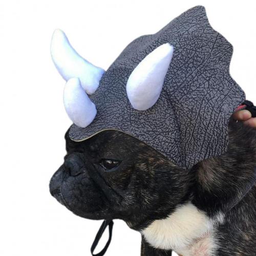 Funny Pet Hond Kat Cap Pet Hoed Cartoon Dinosaurus... – Vicedeal