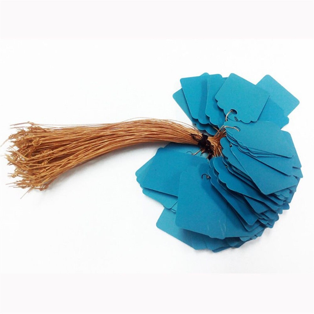 3.6x2.5cm 100pcs Plant Tags Tag Strip Line Garden ... – Grandado