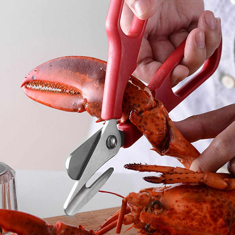 Kitchen Tools Seafood Scissors Stainless Steel Coo... – Grandado