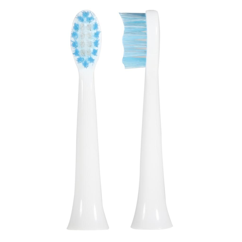 2 Pcs Premium Sonic Toothbrush Heads Adults For Ro... – Grandado