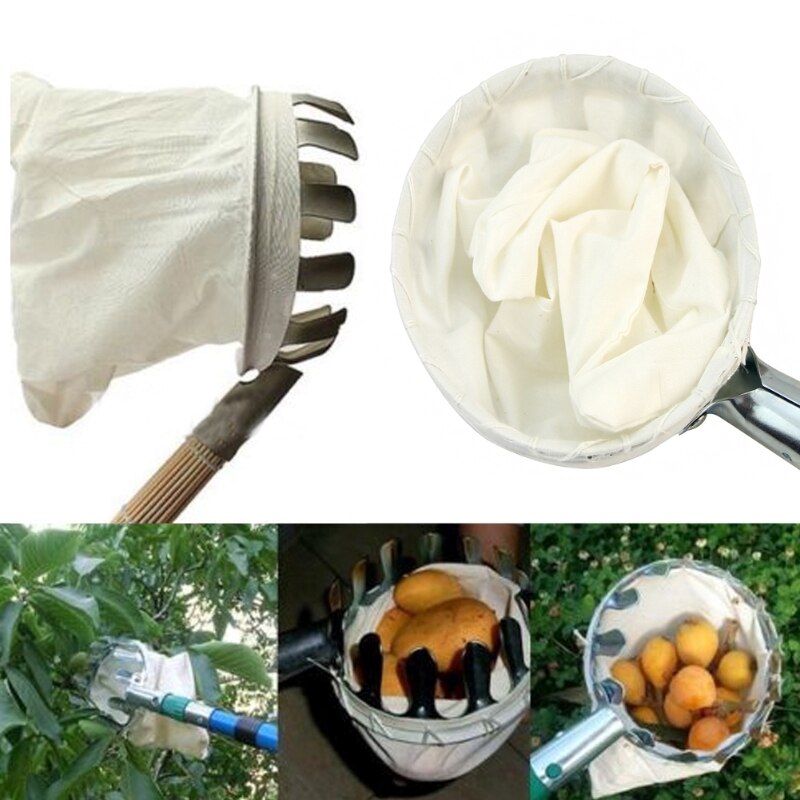 Obst Picker Outdoor Apple Orange Pfirsich Birne Pr... – Vicedeal