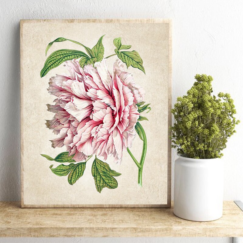 Vintage Pink Peony Botanical Flower Prints Kitchen... – Vicedeal
