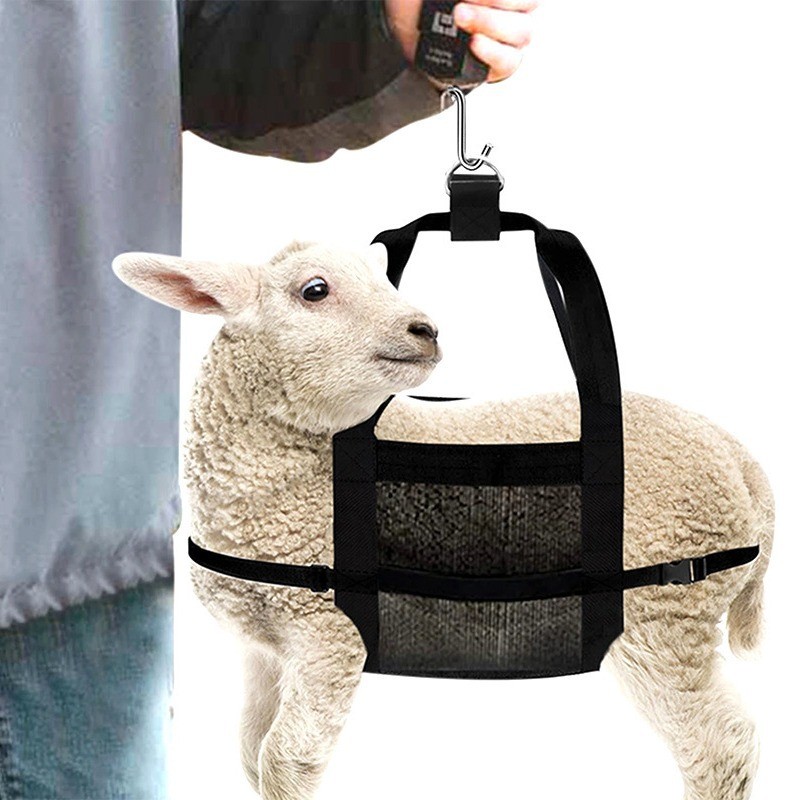 Cattle suspension scale, livestock sling, livestoc... – Grandado