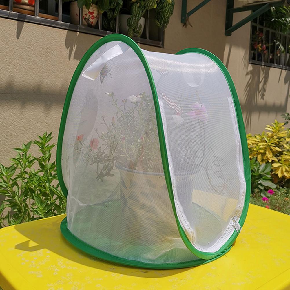 Portable Mini Garden Greenhouses Transparent Plant... – Grandado