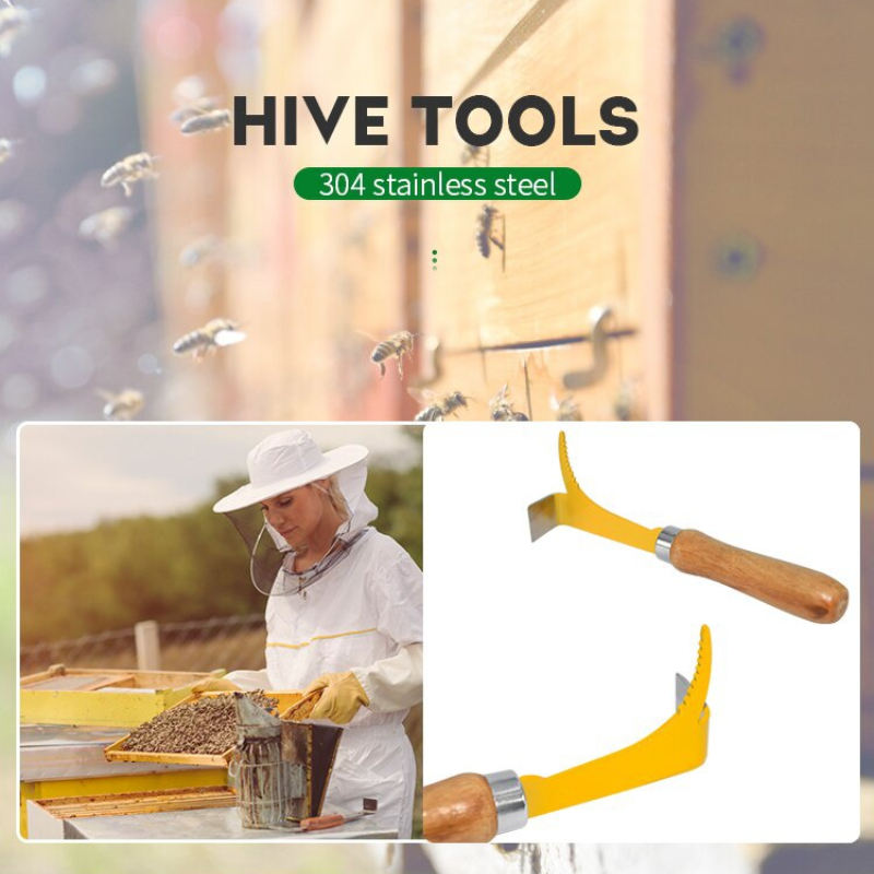 Stainlee Steel Beehive Scraper Knife Beekeeping To... – Grandado
