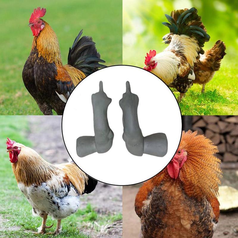 Chicken Muscle Arm Toy Chicken Arms Props Chicken ... – Grandado