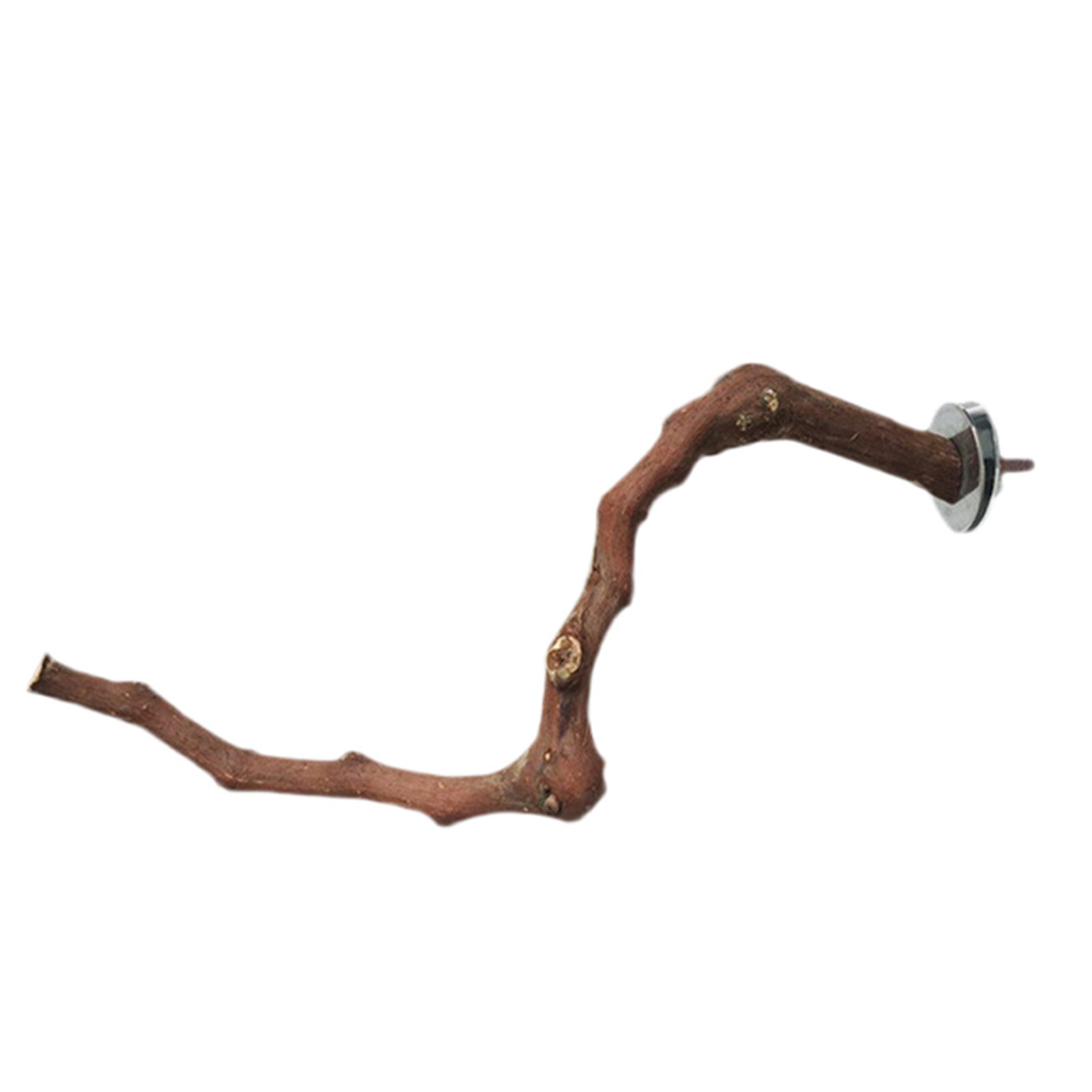 Pet Parrot Bird Standing Stick Wild Grape Wood Pol... – Vicedeal