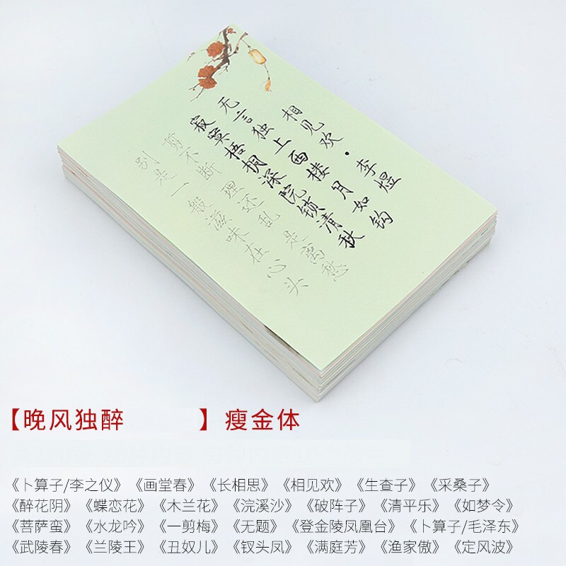 Brush Calligraphie Copybook 260sheets Beginner Chi... – Grandado