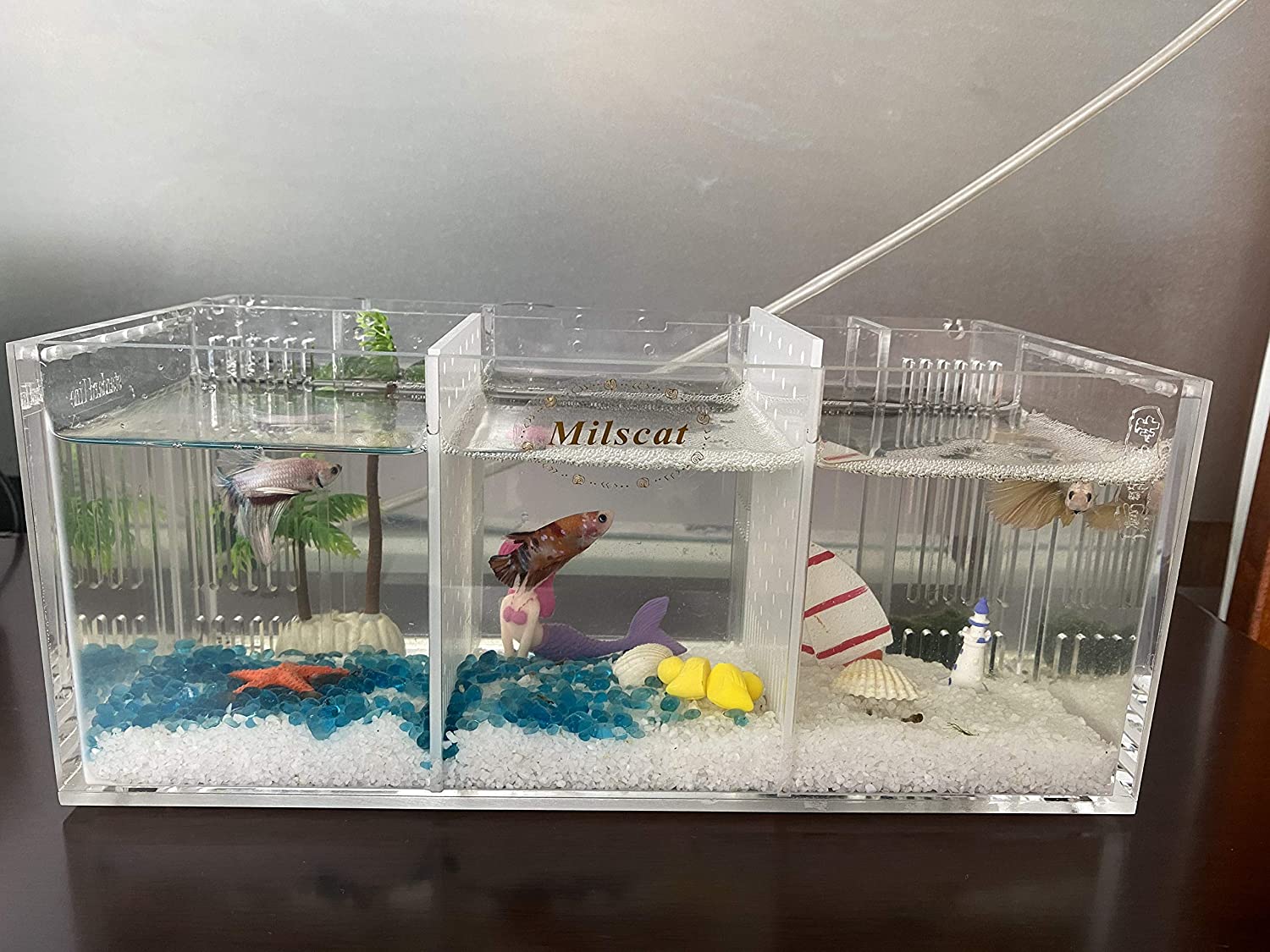 Betta Fish Tank Acrylic Material Mini Desktop Aqua... – Grandado