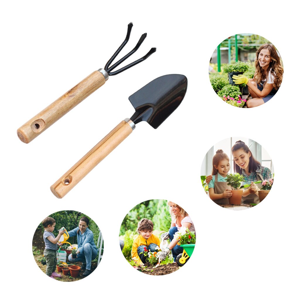 Small Transplant Hand Tool For Multi-Functional In... – Vicedeal