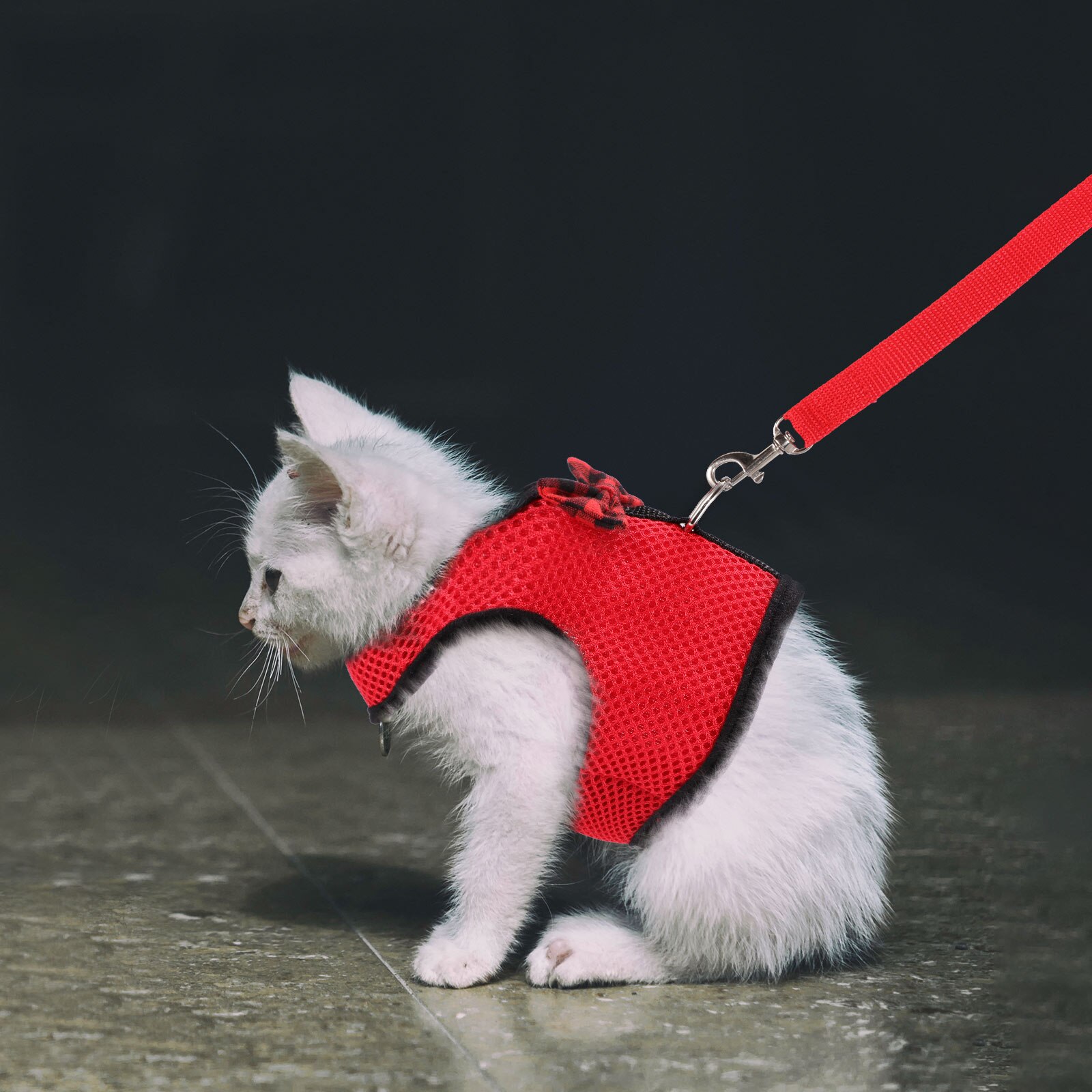 Kleine Huisdier Konijn Harnas Vest En Riem Set Fre... – Vicedeal