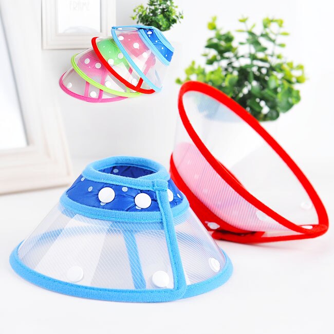 Translucent Pet Dogs Cats Collar Elizabeth Circle ... – Grandado