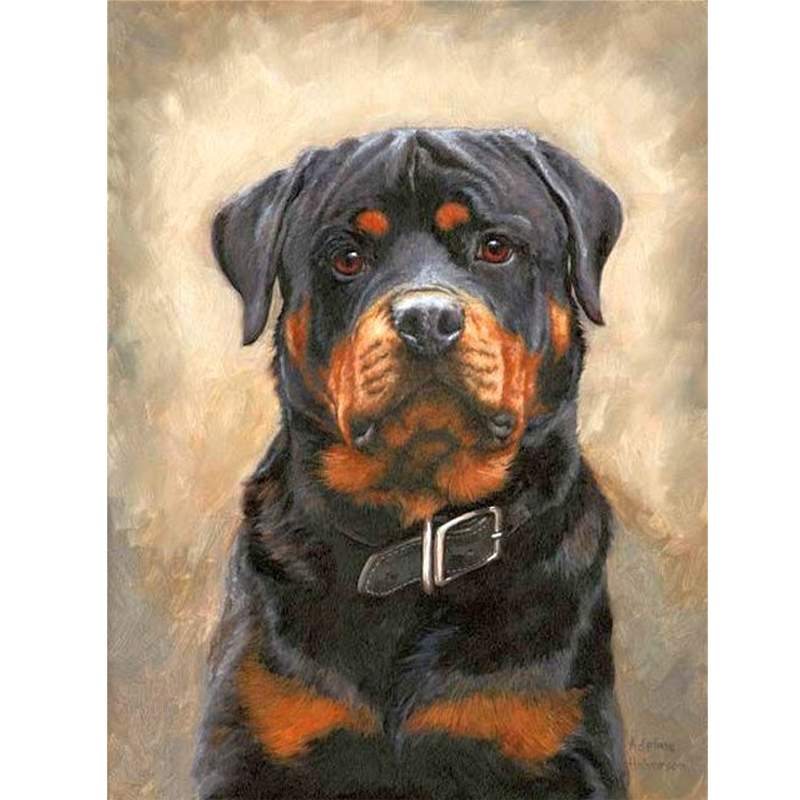 The Painting By Numbers Dog Kits Acrylic Paint On ... – Grandado