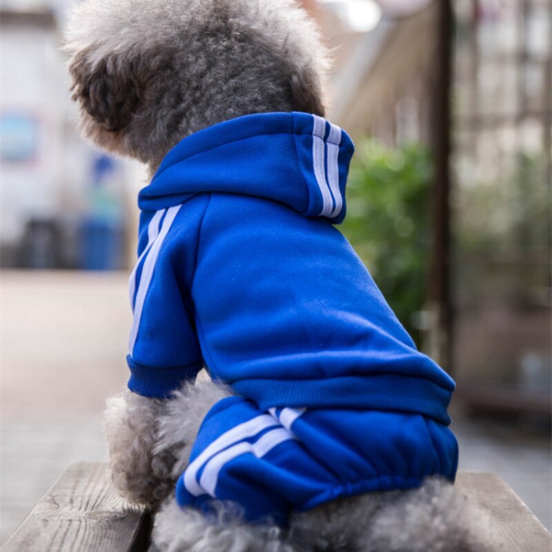 Hond Hoodie Winter Pet Outfit Warm Hond Kleding Ju... – Grandado
