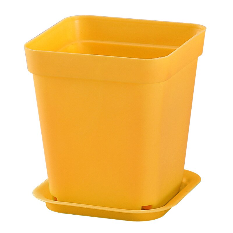 Plastic Pots Small Square Pots for Succulent plant... – Grandado