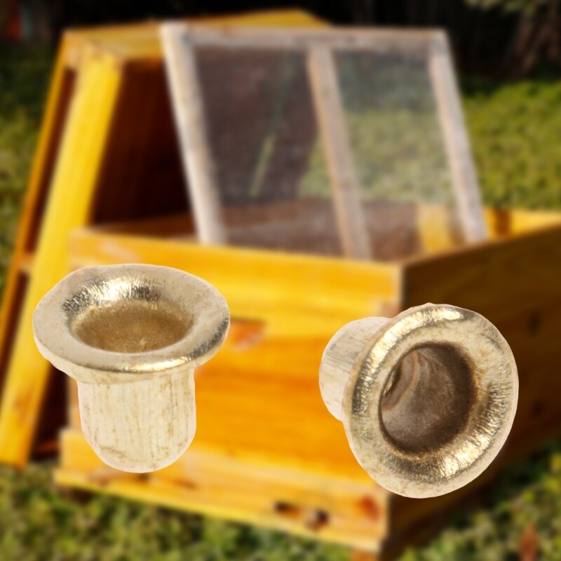 Caja con rosca italiana para colmena de abejas, 1 ... – Grandado