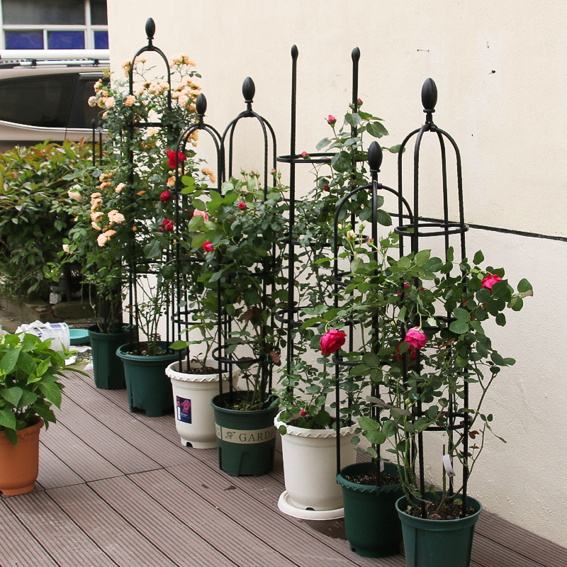 1Set Climbing Plant Trellis Garden Support Cages F... – Grandado