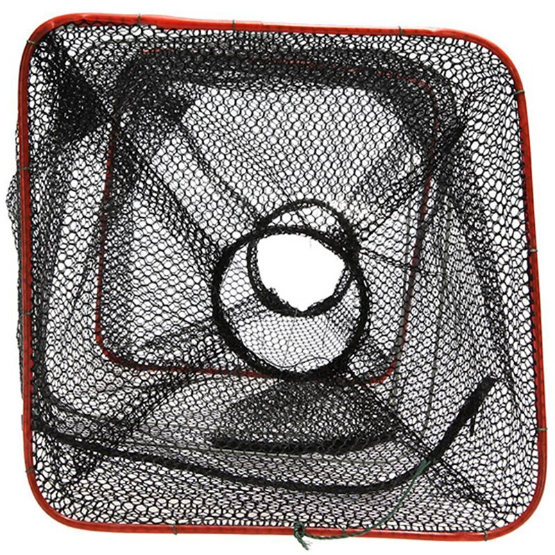 Fishpot Bait fishpot eel pot coop fish trap small ... – Grandado