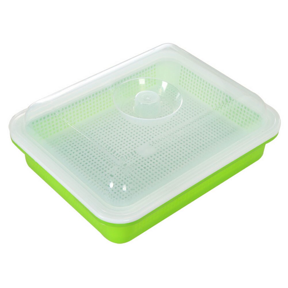 Seed Sprouter Tray Bean Sprout Grower Germination ... – Grandado