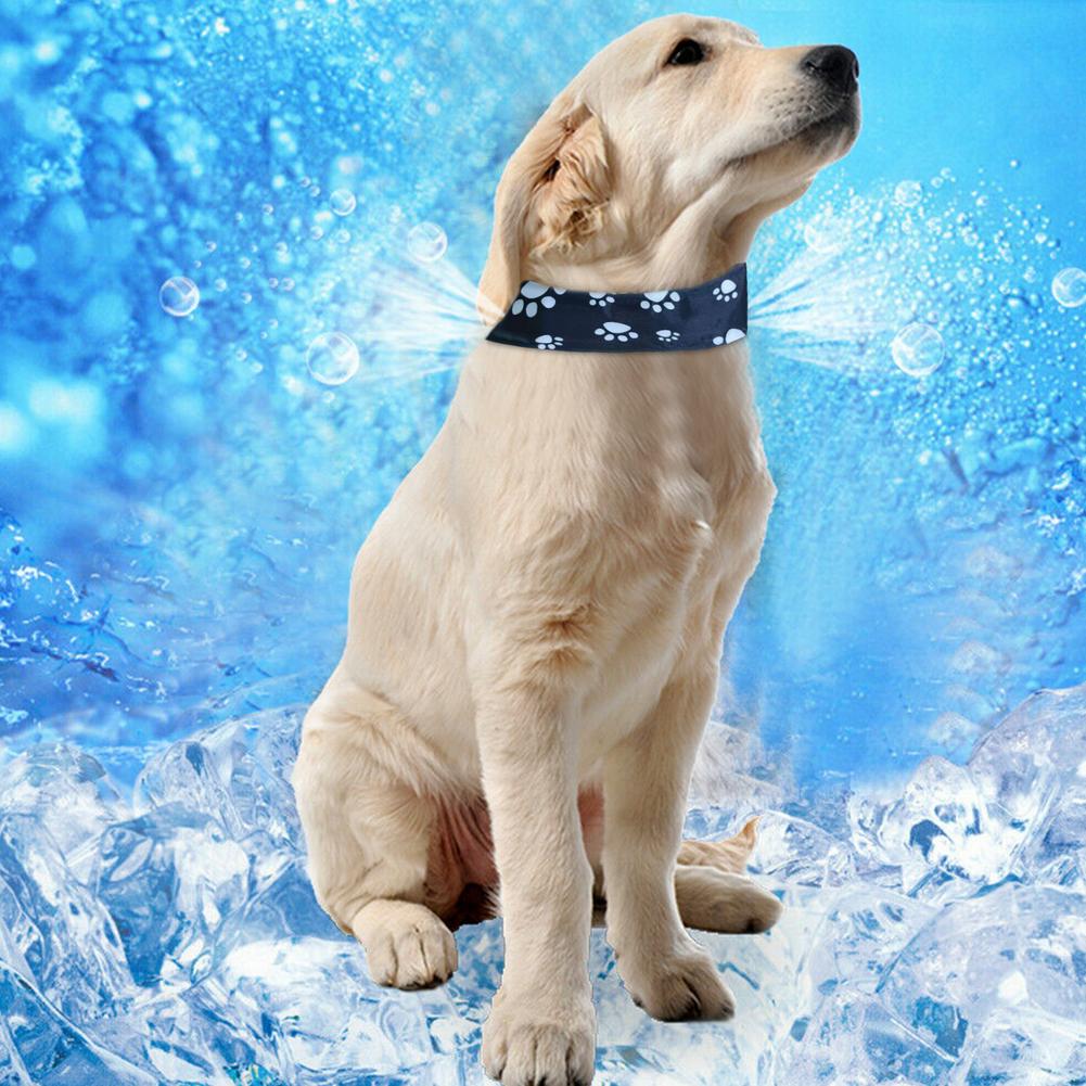 Summer Dog Supplies Pet Cooling Bib Summer Cool Ic... – Grandado