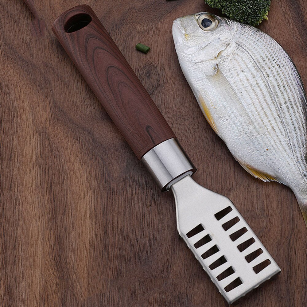 Stainless Steel Fish Scale Scraper Plastic Handle ... – Vicedeal