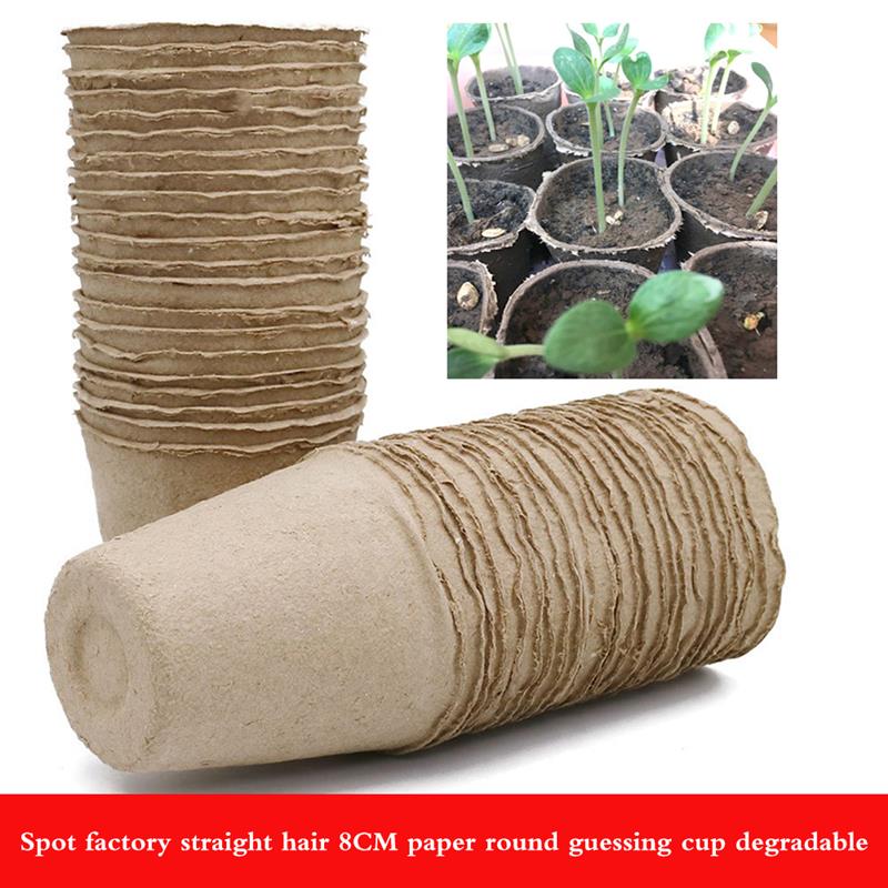 50Pcs Nursery Pots Biodegradable Paper Pulp Peat P... – Grandado