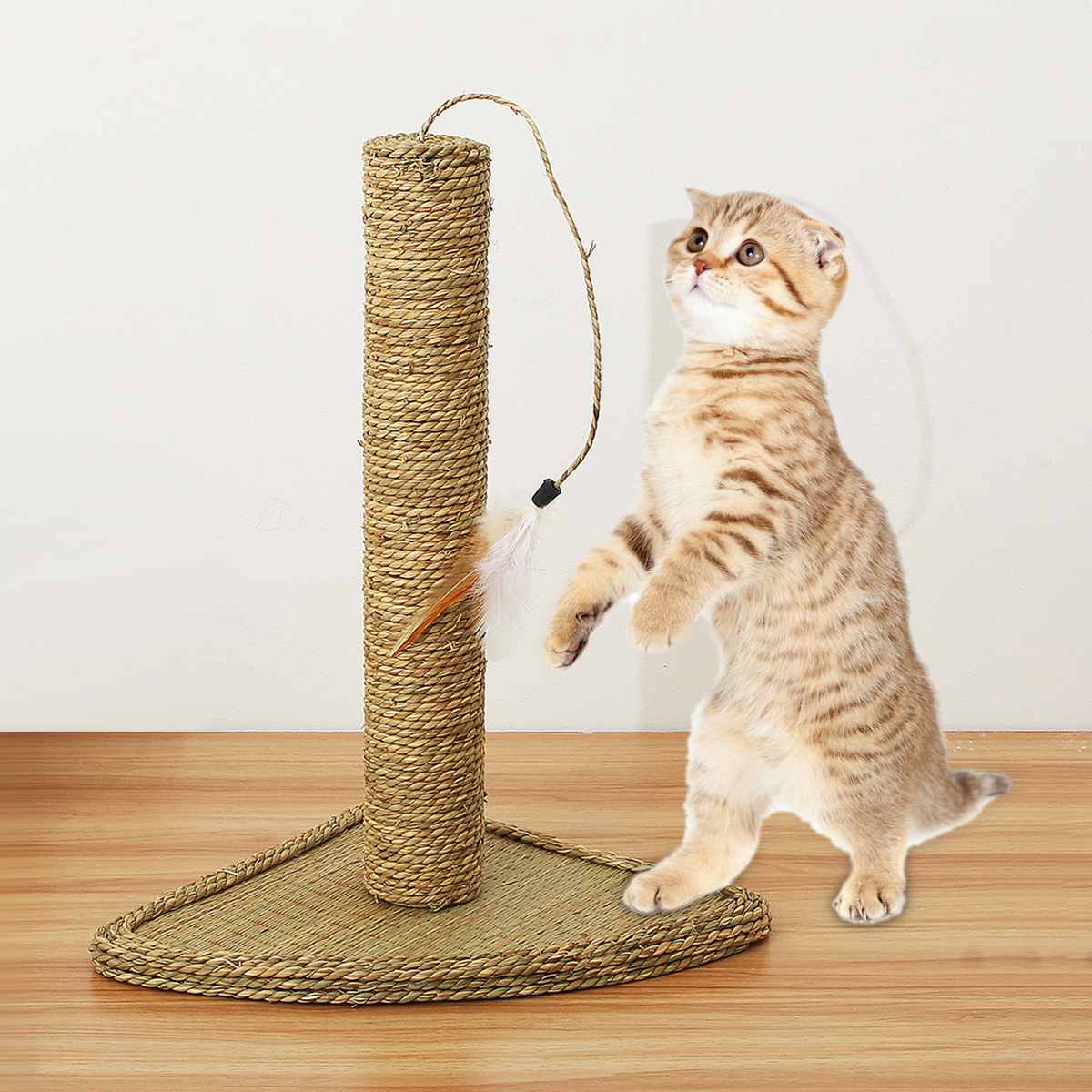 Cat Scratching Post Cat Interactive Toys Cat Scrat... – Grandado