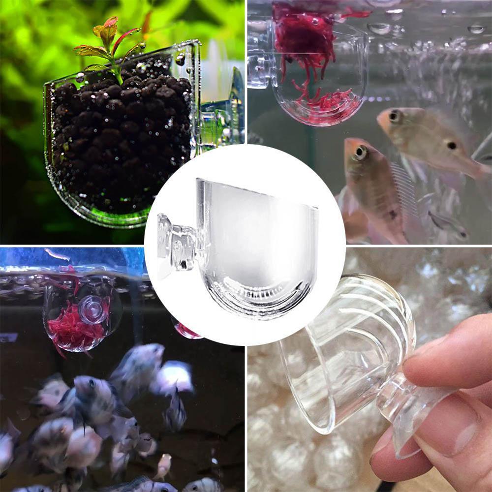 Glas Voeden Cup Vis Feeder Artemia Eieren Rode Voe... – Vicedeal