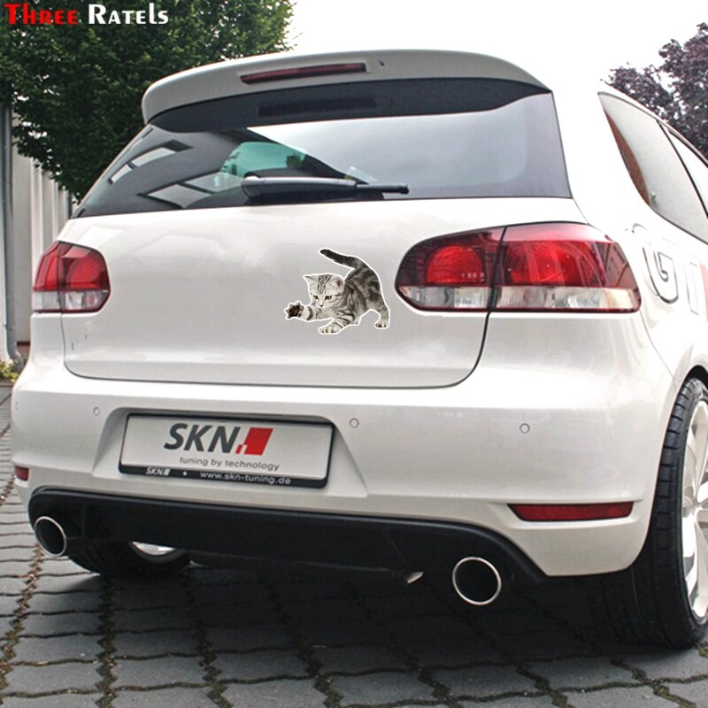 Three ratels FTC-757#14x17cm American Shorthair ca... – Grandado