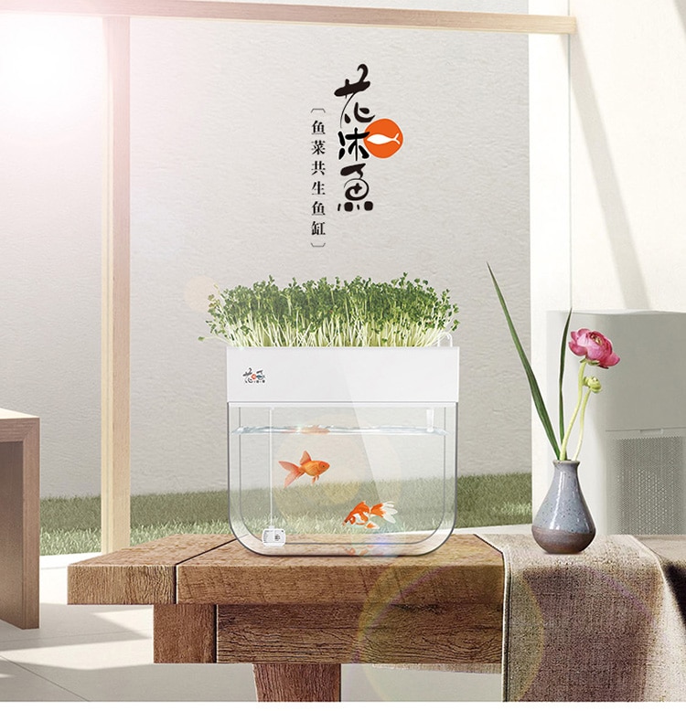 Water-free Ecological Goldfish Tank Living Room Ho... – Vicedeal