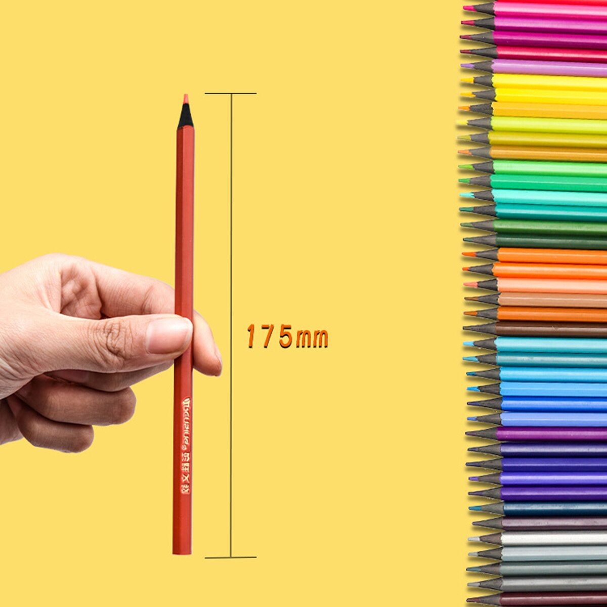 Colored Peccils 12/24pcs Cartoon Animal Colored Pe... – Grandado